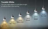 How to Choose the Right Light Bulbs for Your Chandelier: A Complete Gu ...
